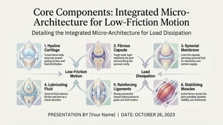 Joints in Motion_ Structure to Style.pptx