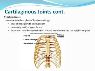 Joints in skeletal system | PPT