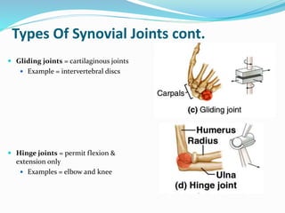 Joints in skeletal system | PPT
