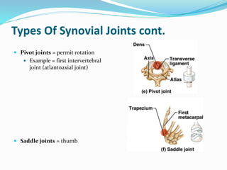 Joints in skeletal system | PPT