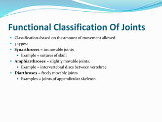 Joints in skeletal system | PPT