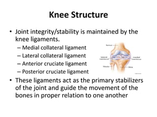 Joints in yoga (1) 4 | PPT