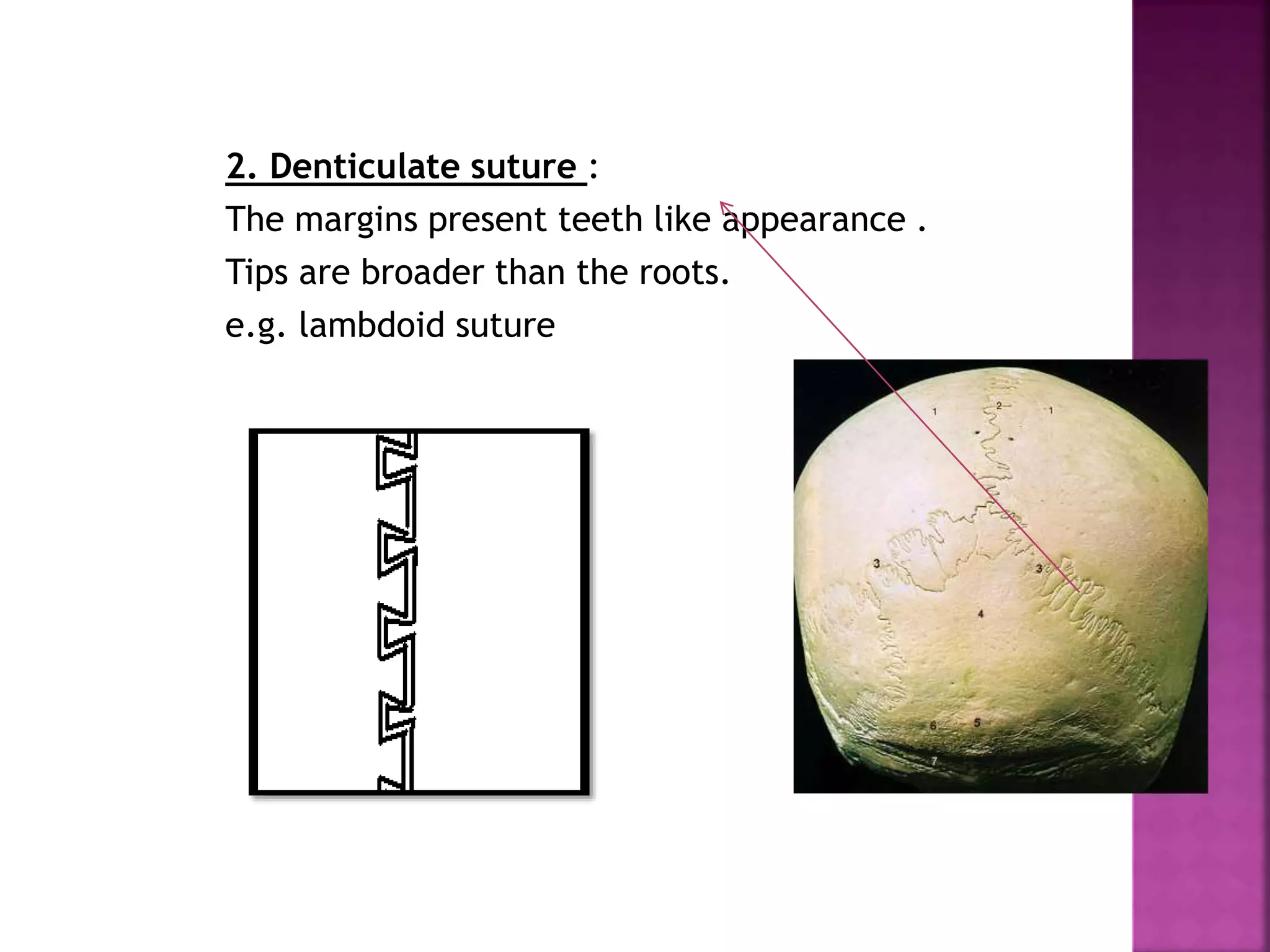 Joints anatomy and physiology | PPTX