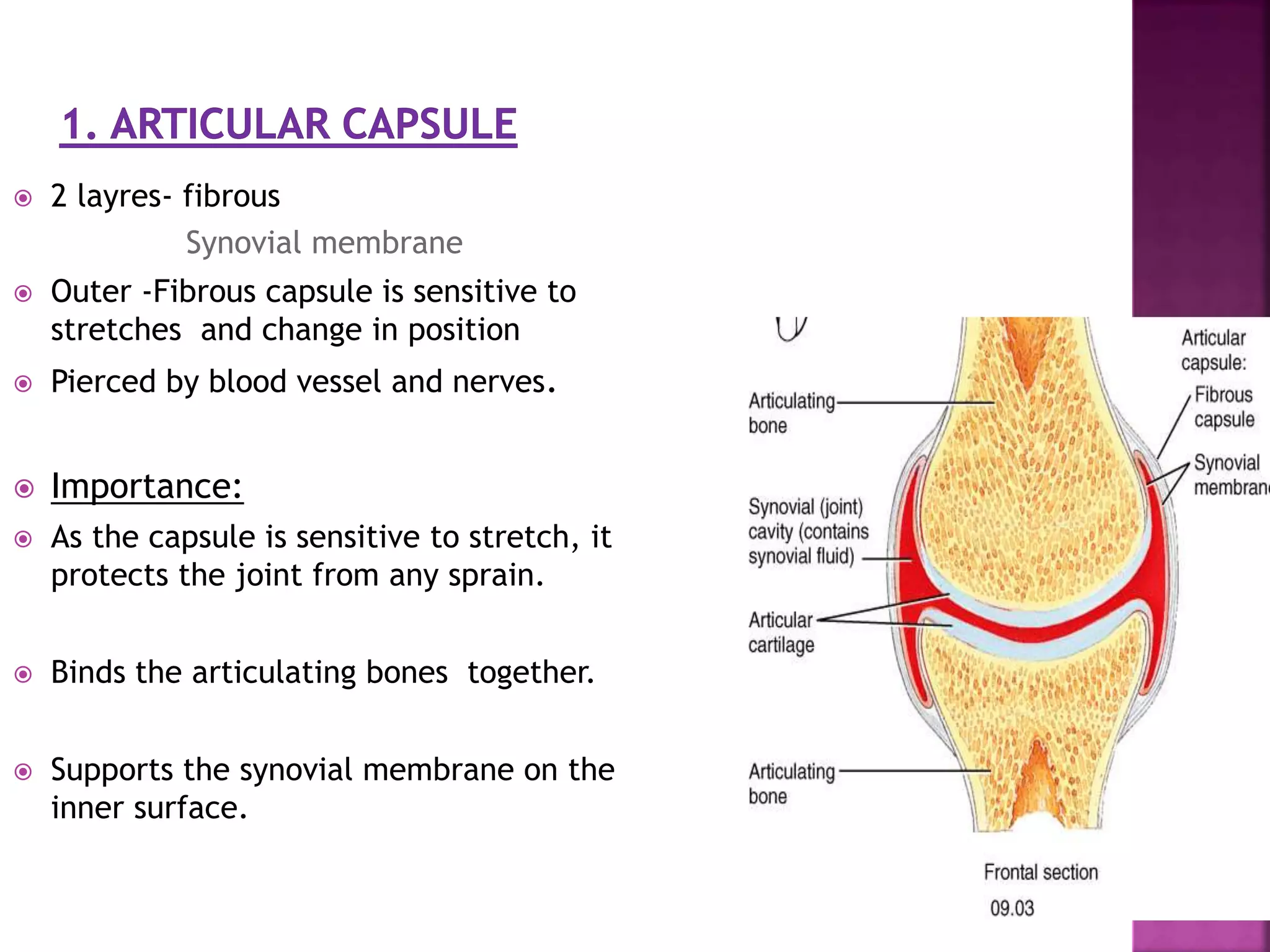 Joints anatomy and physiology | PPTX