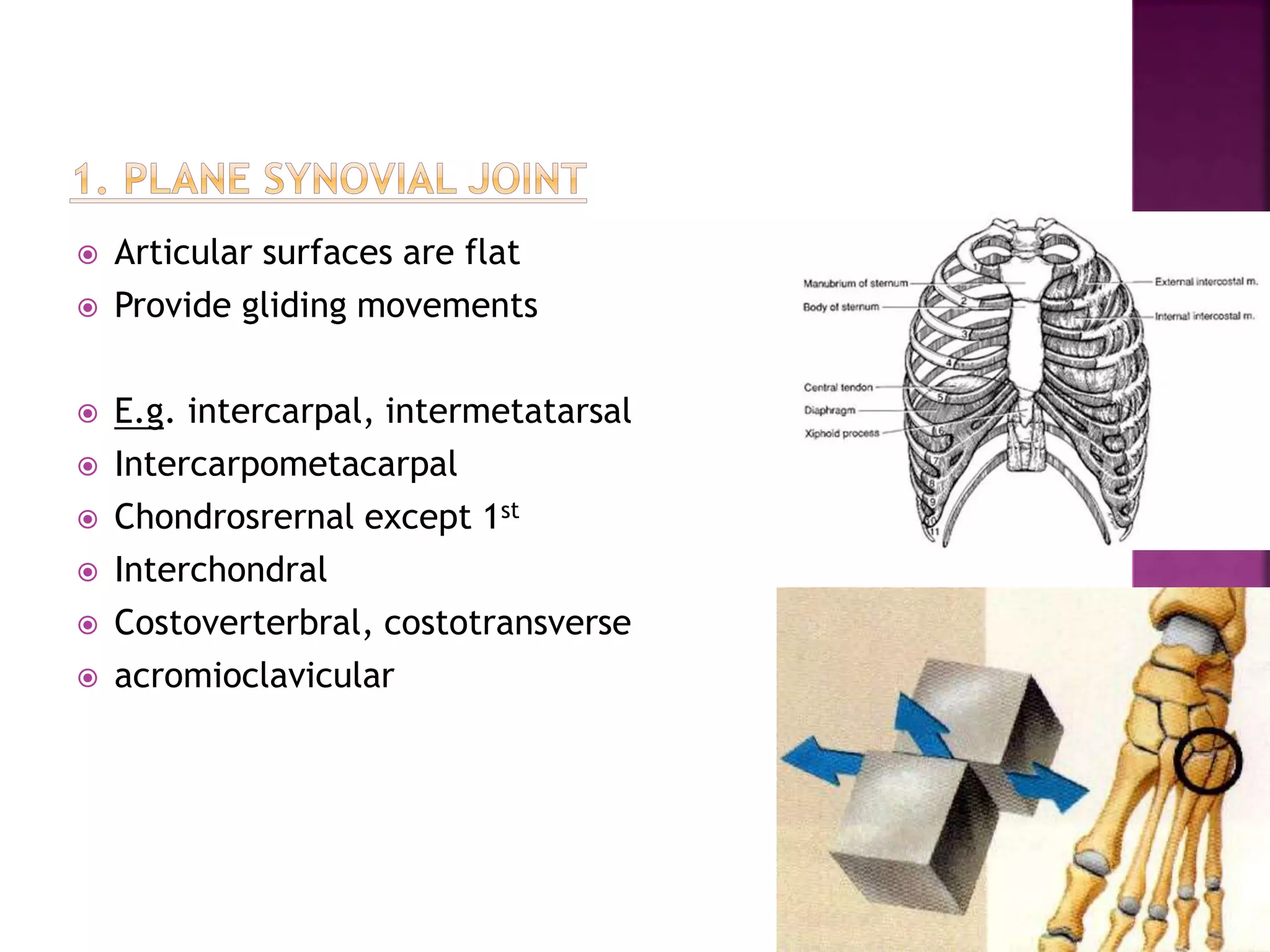 Joints anatomy and physiology | PPTX