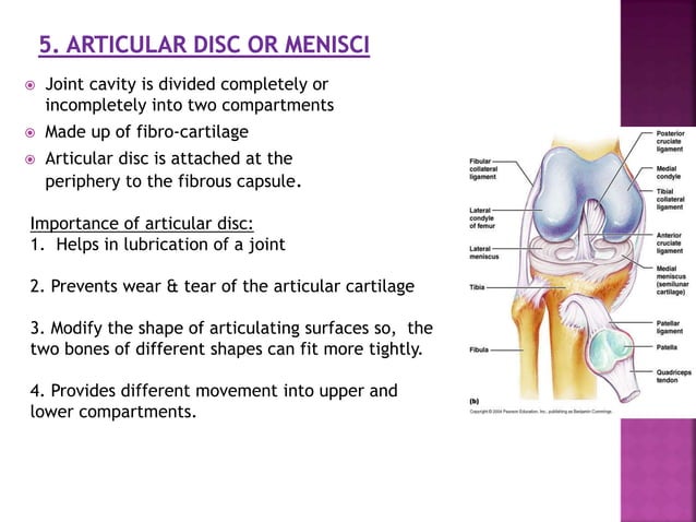 Joints anatomy and physiology | PPTX