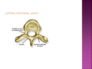 Joints anatomy and physiology | PPTX