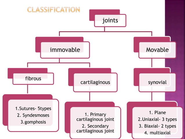 Joints anatomy and physiology | PPTX