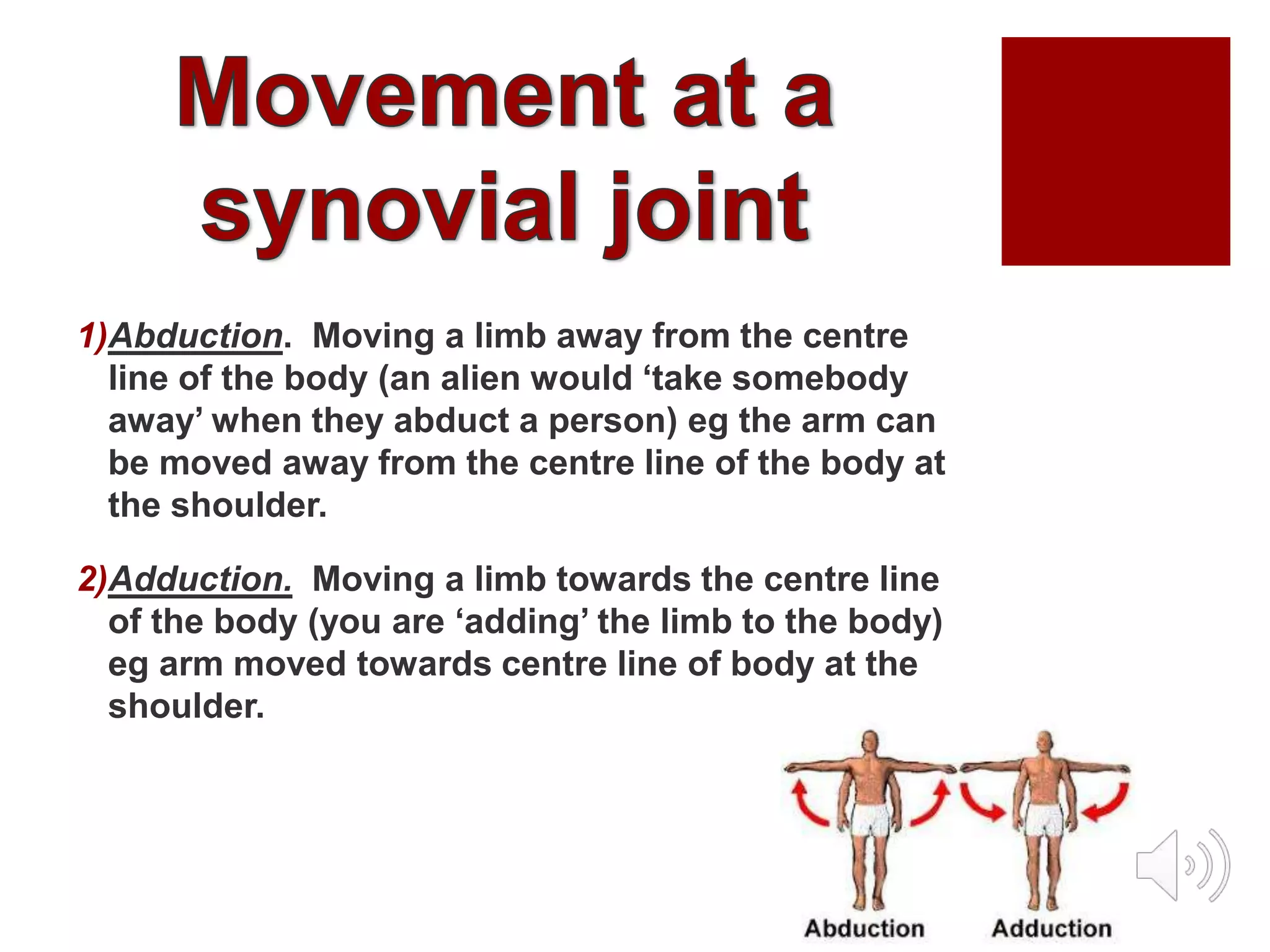 GCSE PE Revision: Joints | PPTX