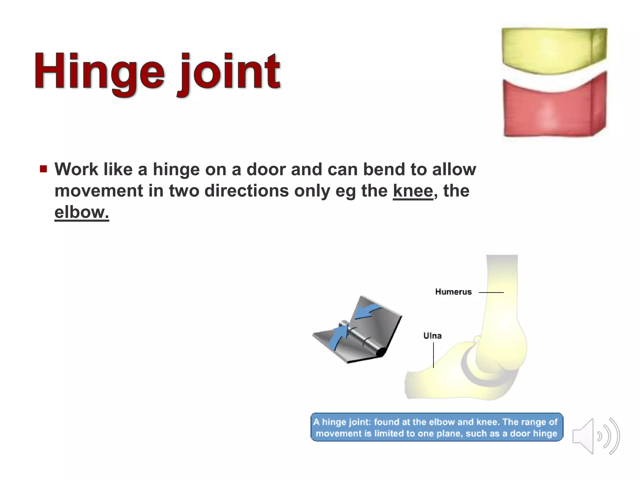 GCSE PE Revision: Joints | PPTX