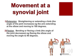 GCSE PE Revision: Joints | PPTX