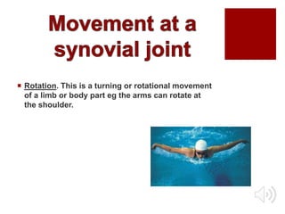 GCSE PE Revision: Joints | PPTX