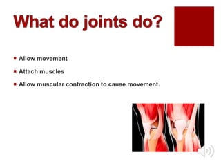 GCSE PE Revision: Joints | PPTX