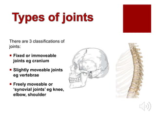 GCSE PE Revision: Joints | PPTX