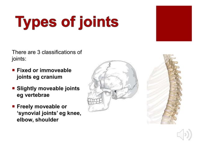GCSE PE Revision: Joints | PPTX