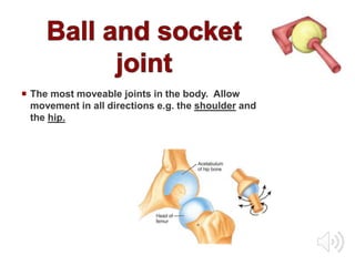 GCSE PE Revision: Joints | PPTX