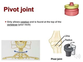 GCSE PE Revision: Joints | PPTX