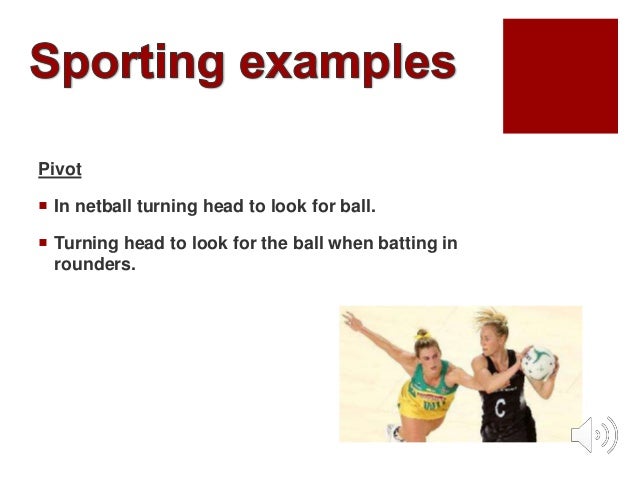 GCSE PE Revision: Joints