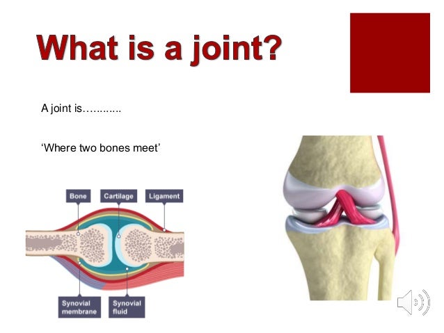 GCSE PE Revision: Joints