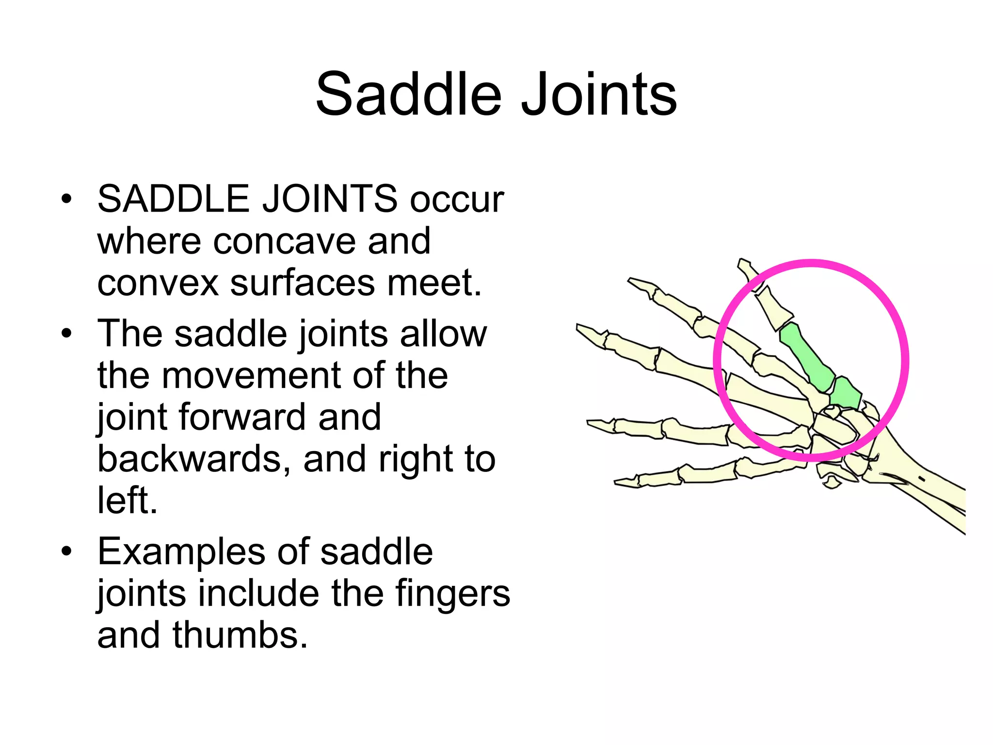Joints_Movement_Powerpoint ppt | PDF