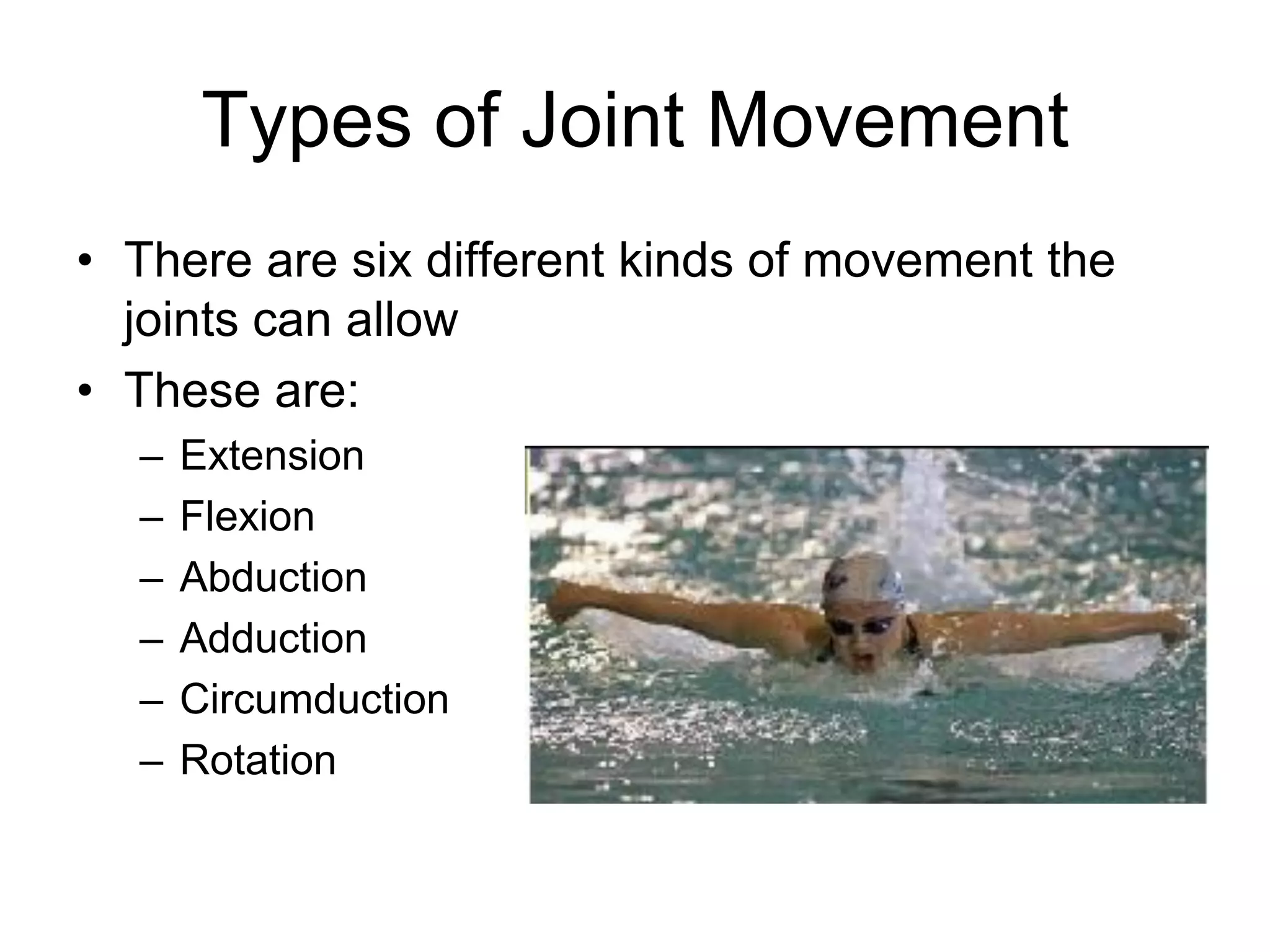 Joints_Movement_Powerpoint ppt | PDF