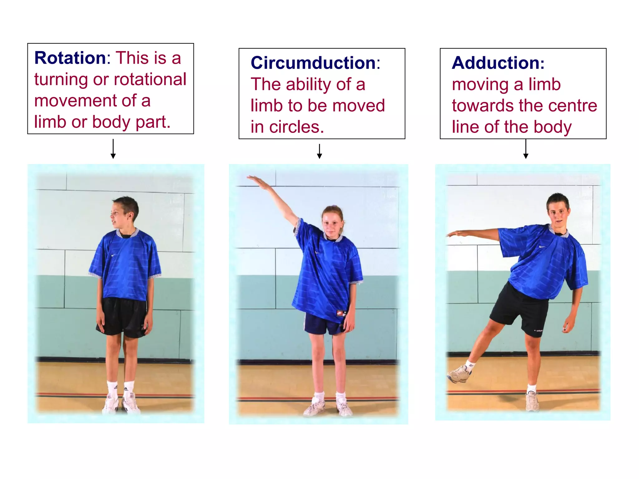 Joints_Movement_Powerpoint ppt | PDF