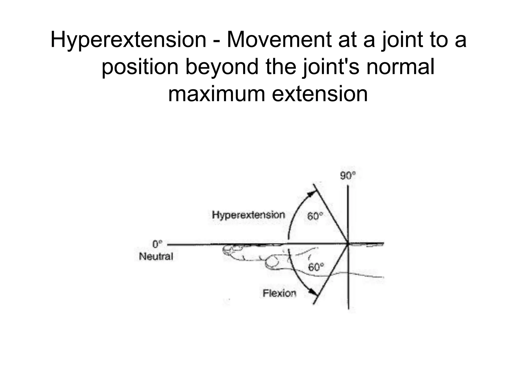 Joints_Movement_Powerpoint ppt | PDF