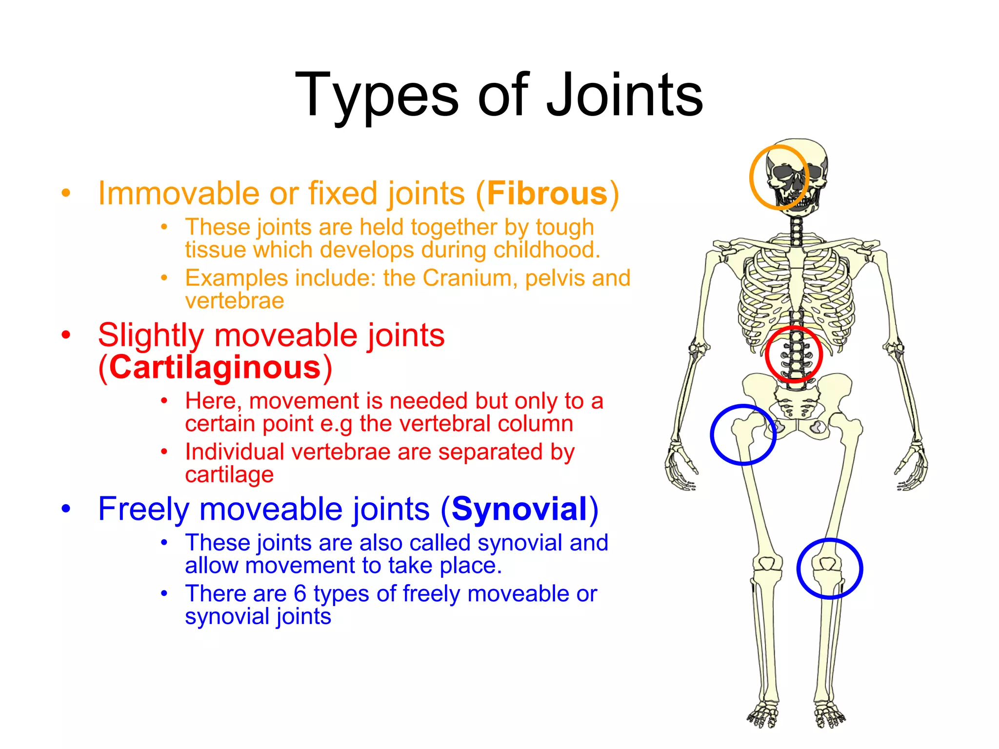 Joints_Movement_Powerpoint ppt | PDF
