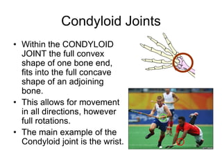 Joints_Movement_Powerpoint ppt | PDF | Death, Injury, or Military ...