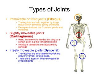 Joints_Movement_Powerpoint ppt | PDF | Death, Injury, or Military ...