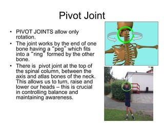 Joints_Movement_Powerpoint ppt | PDF | Death, Injury, or Military ...
