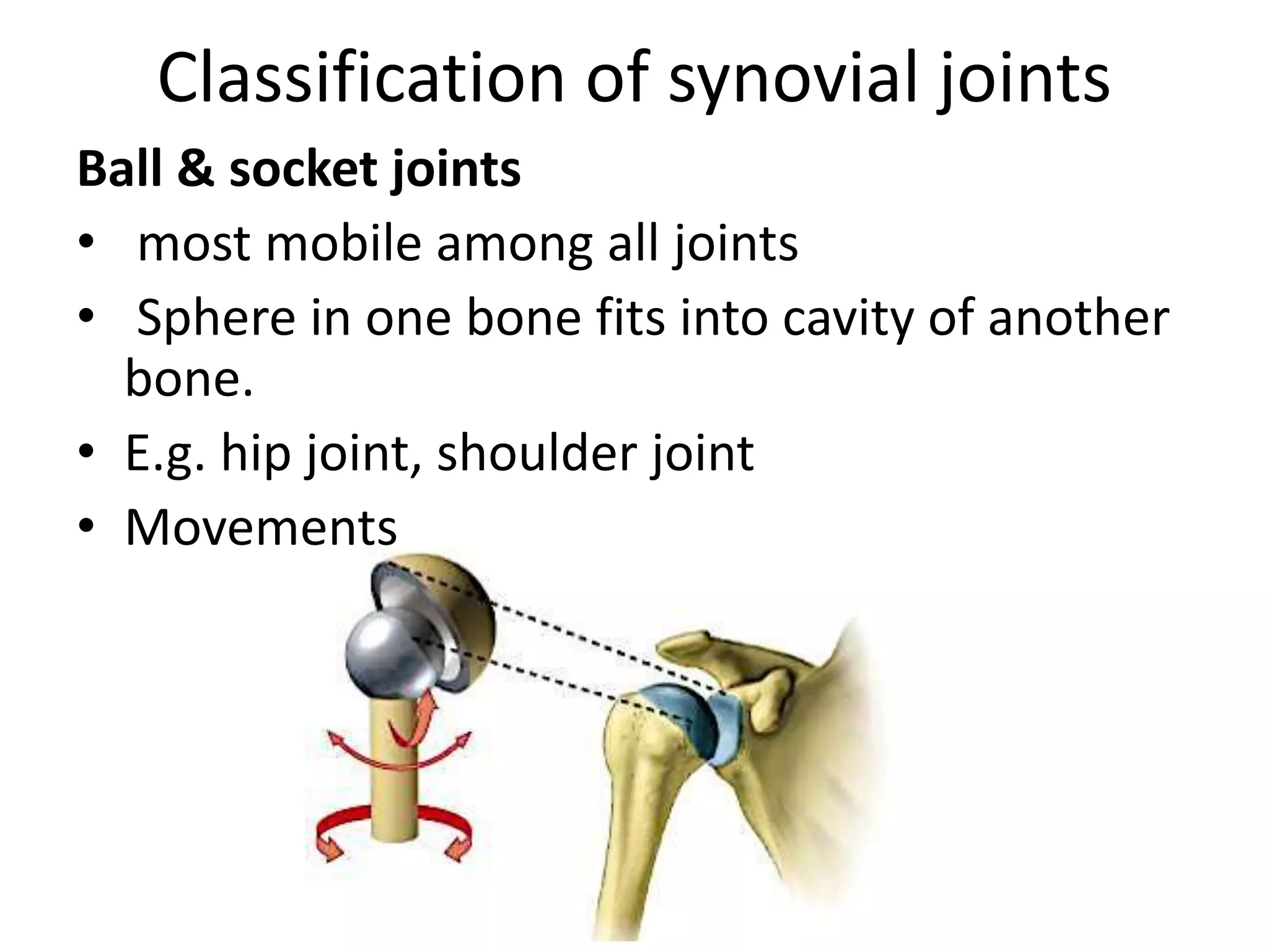 Joints and movements | PPTX | Death, Injury, or Military Conflict ...
