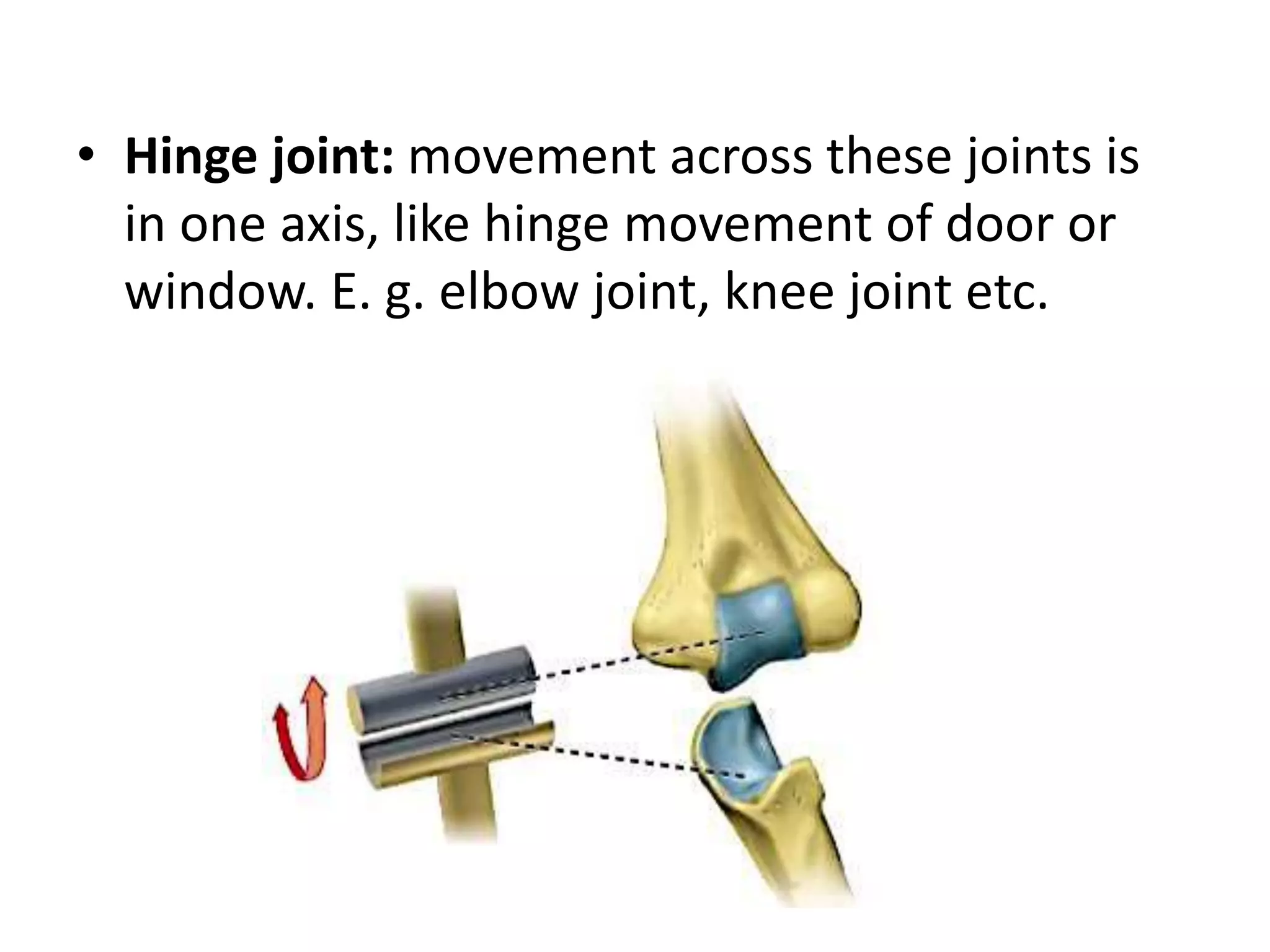 Joints and movements | PPTX