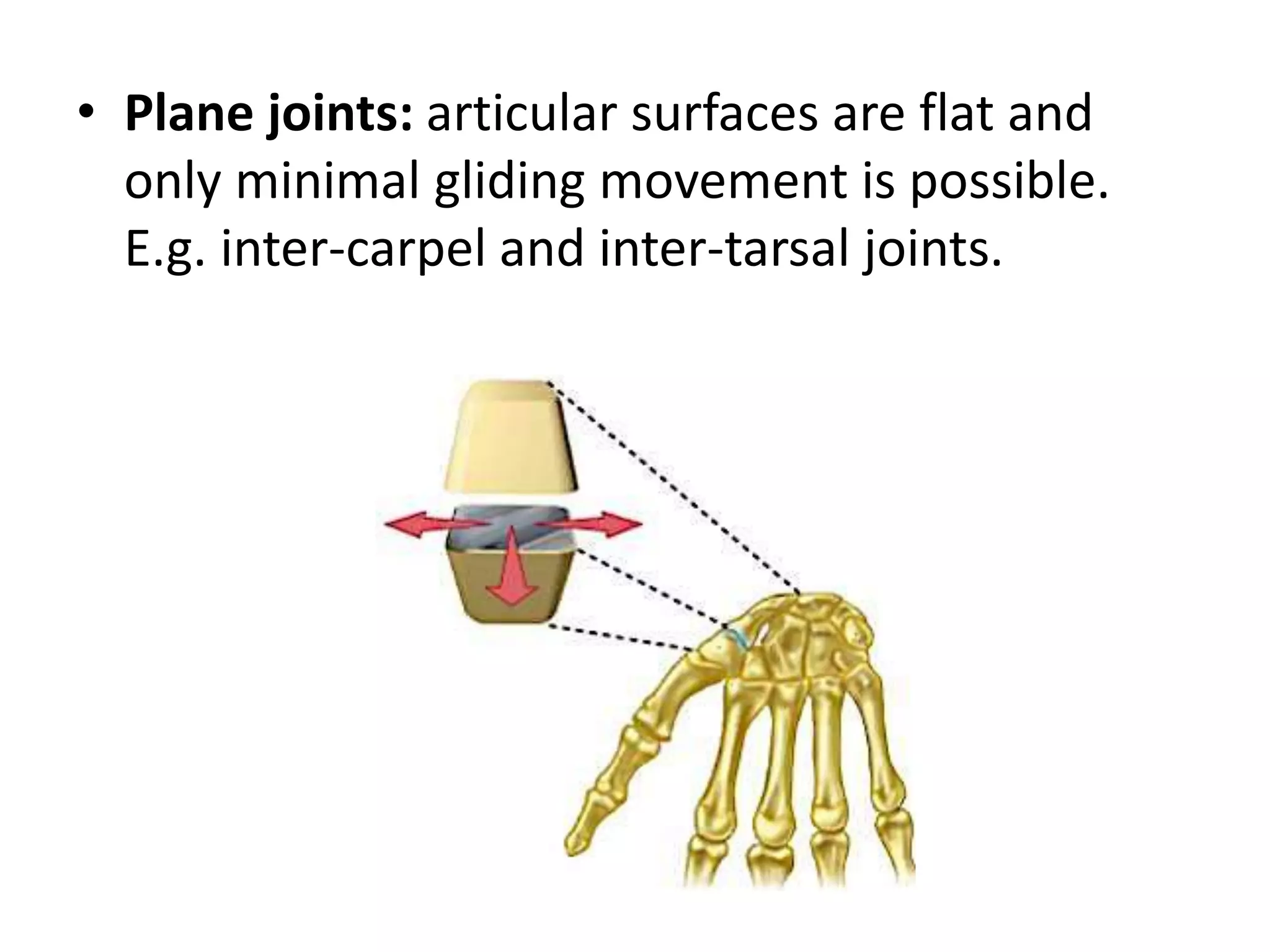Joints and movements | PPTX