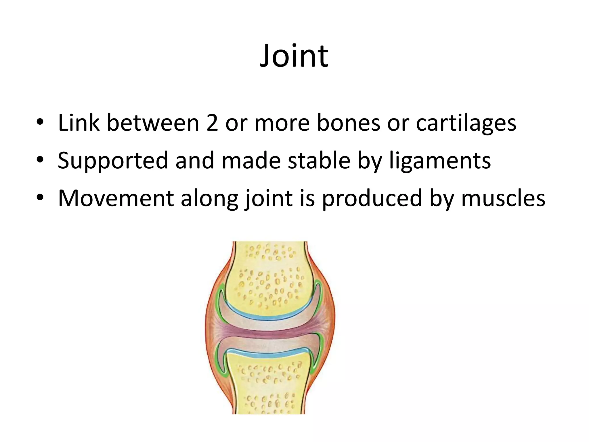 Joints and movements | PPTX | Death, Injury, or Military Conflict ...