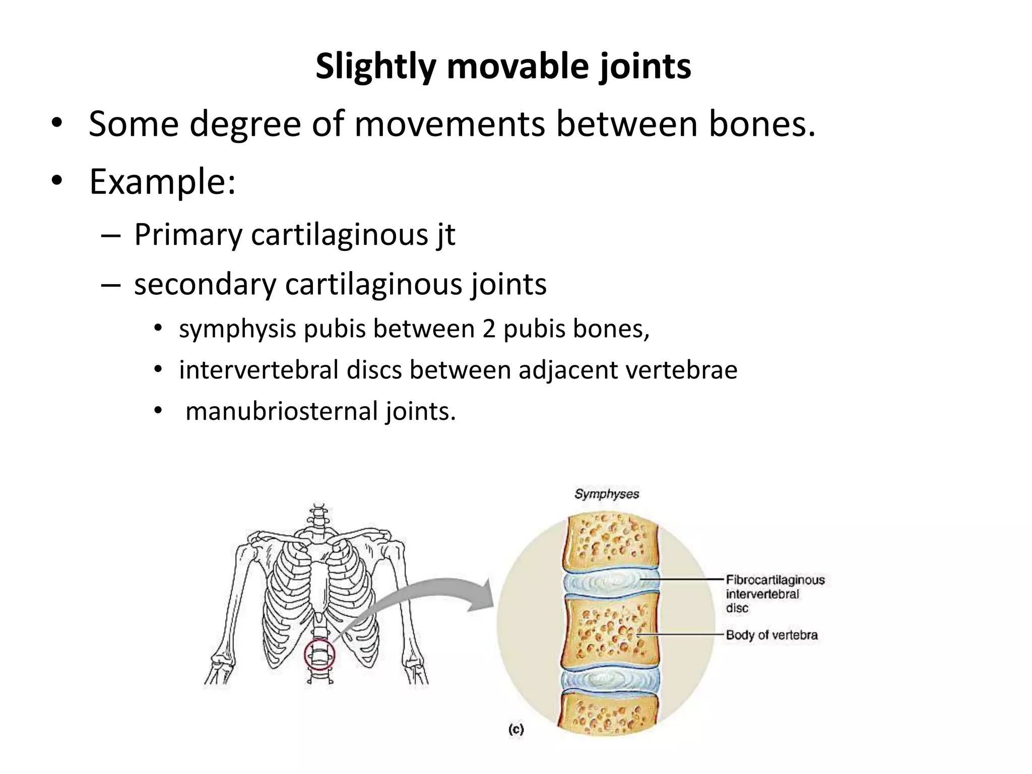 Joints and movements | PPTX | Death, Injury, or Military Conflict ...
