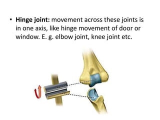 Joints and movements | PPTX