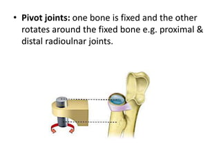 Joints and movements | PPTX