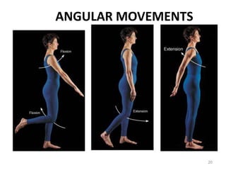 Joints and movements | PPTX