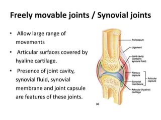 Joints and movements | PPTX