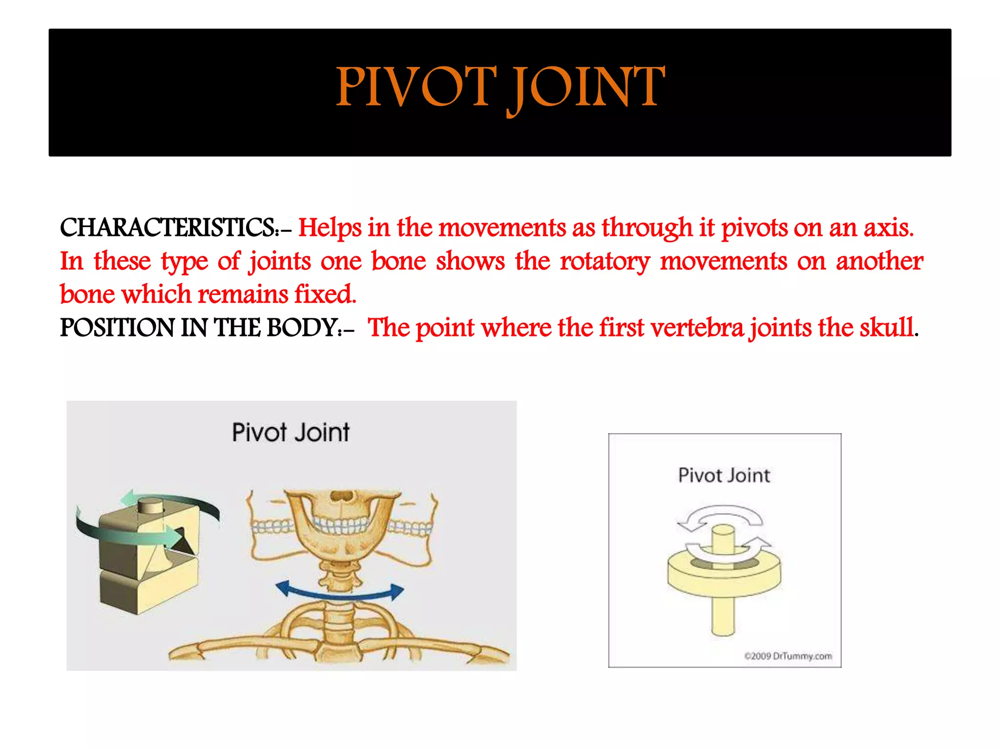 Joints and movements | PPTX
