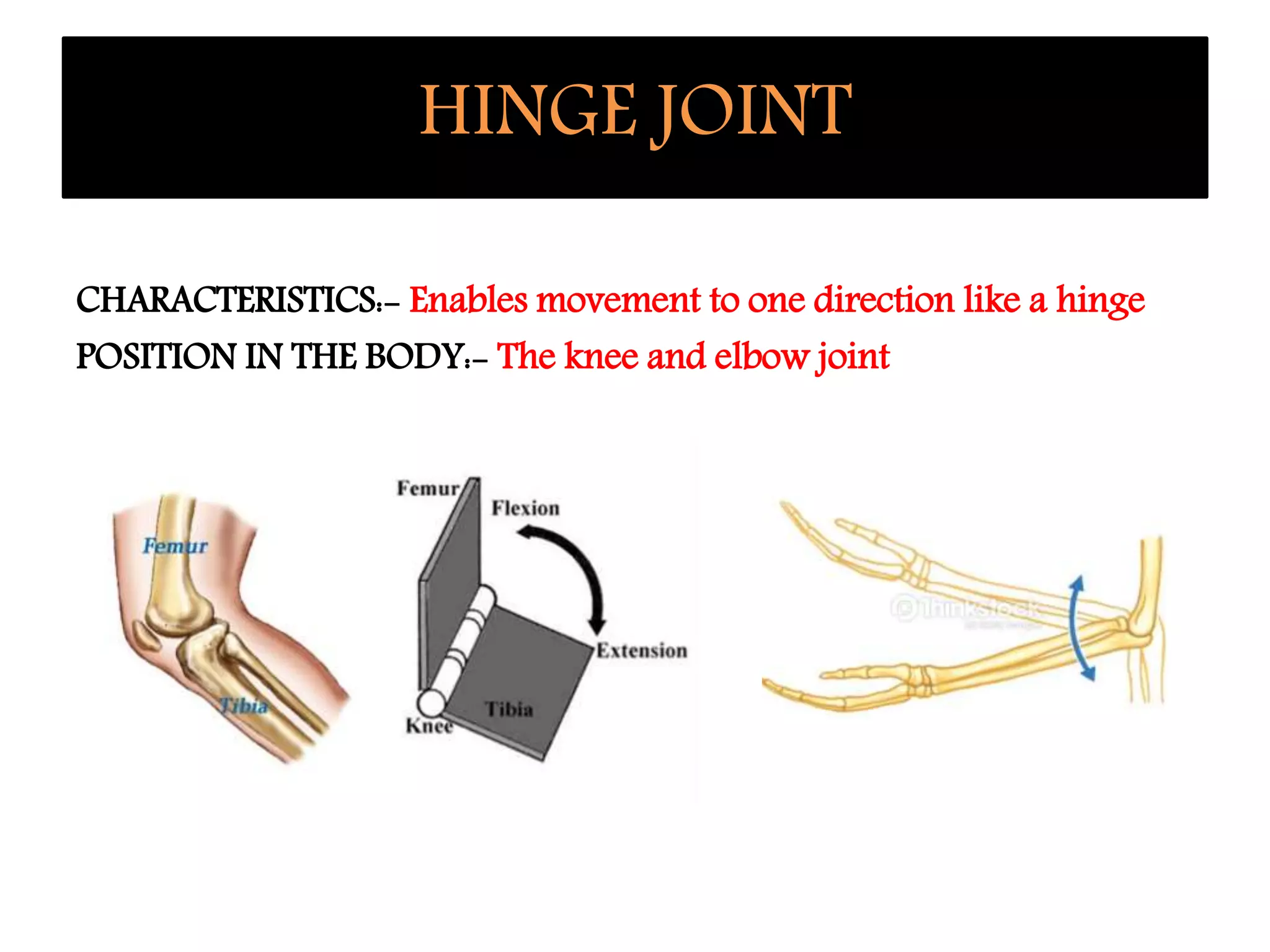 Joints and movements | PPTX