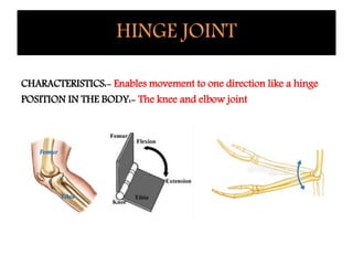 Joints and movements | PPTX