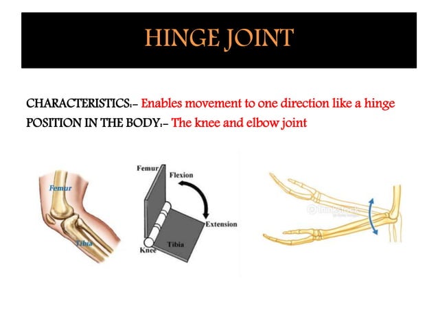 Joints and movements | PPTX