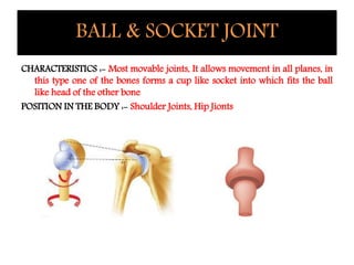 Joints and movements | PPTX