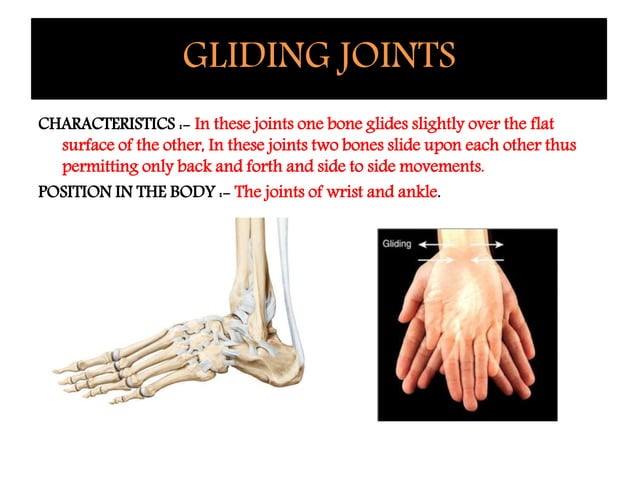 Joints and movements | PPTX