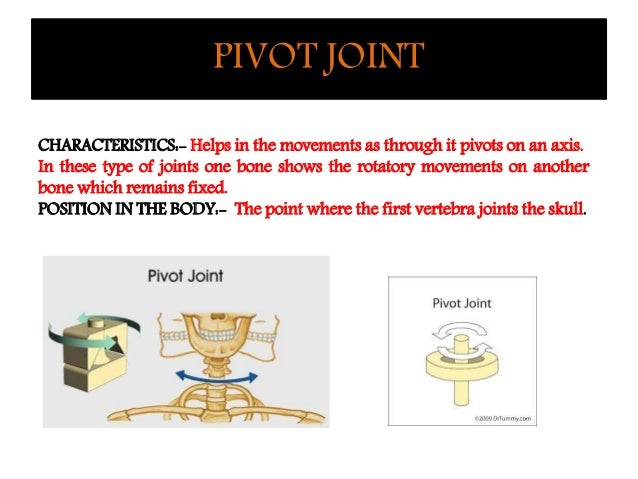 This Image Shows Some Examples Of The Movements Of Joints And Their