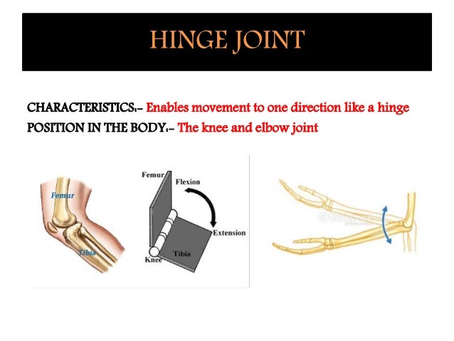 This Image Shows Some Examples Of The Movements Of Joints And Their