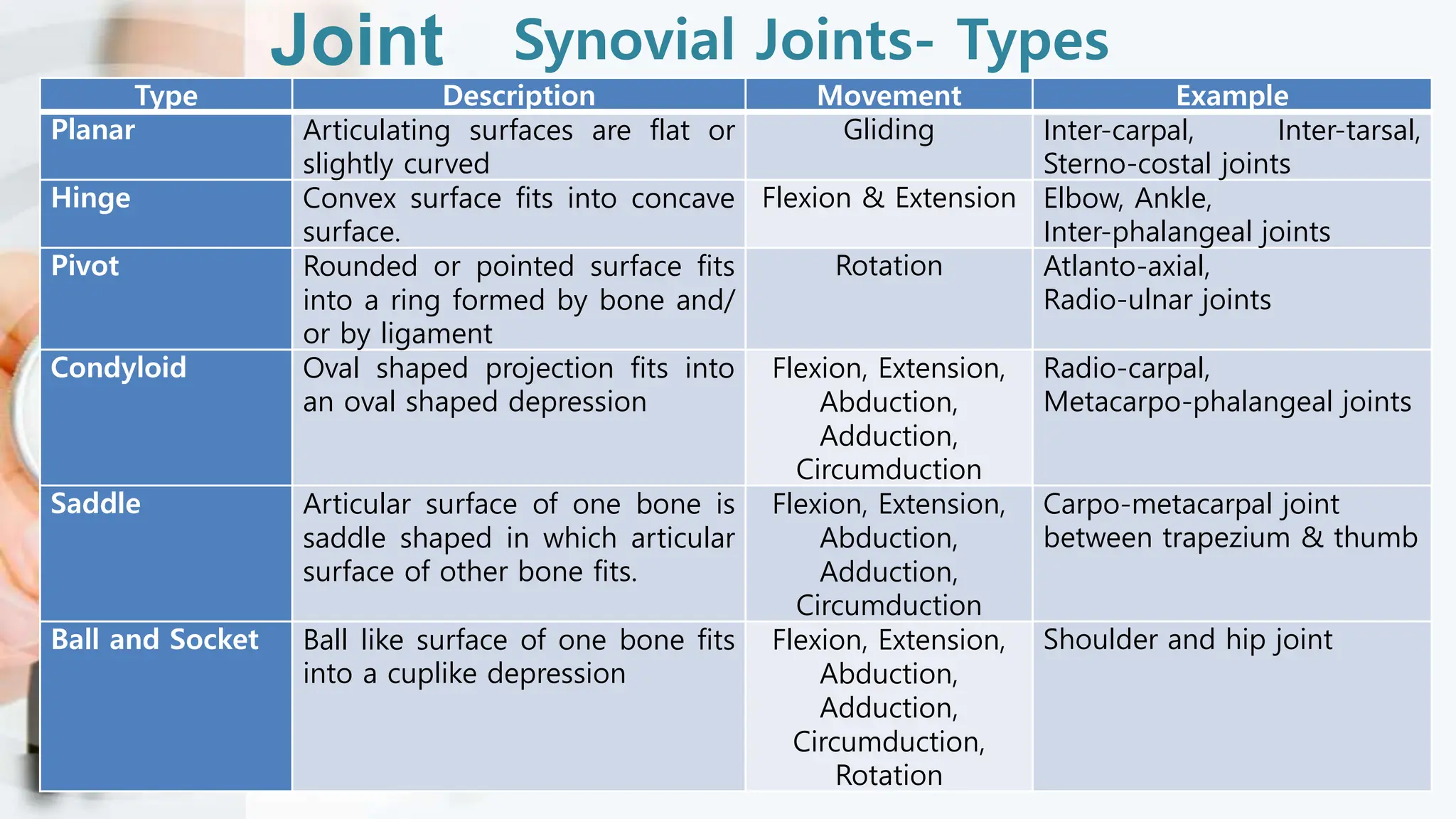 Joints & movements.pptx