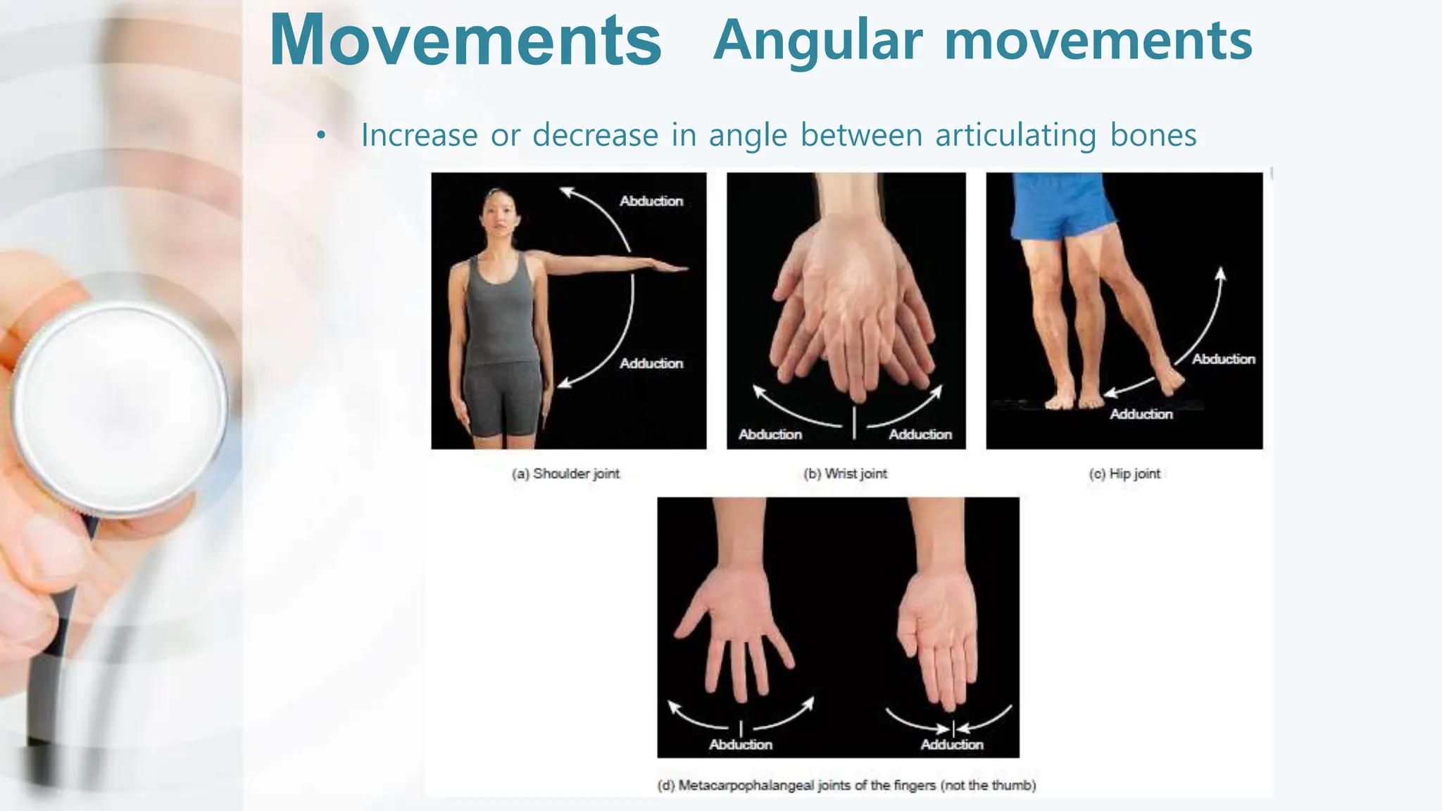Joints & movements.pptx